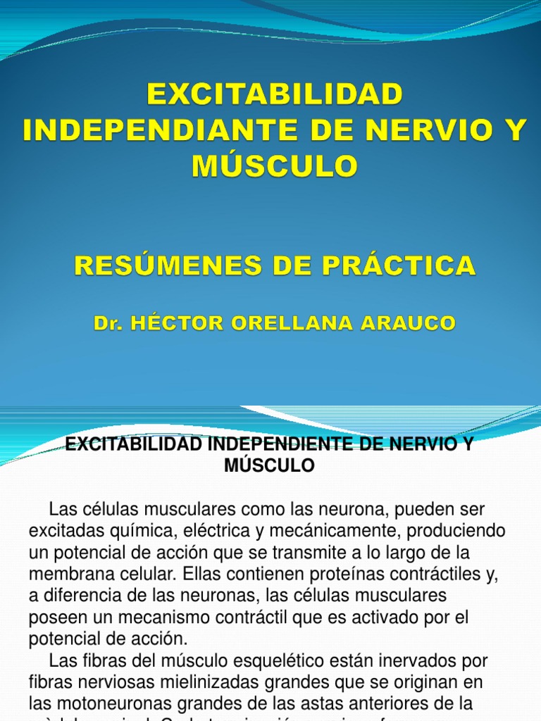 Excitabilidad Independiente de Nervio y Músculo Imptec PDF | PDF ...