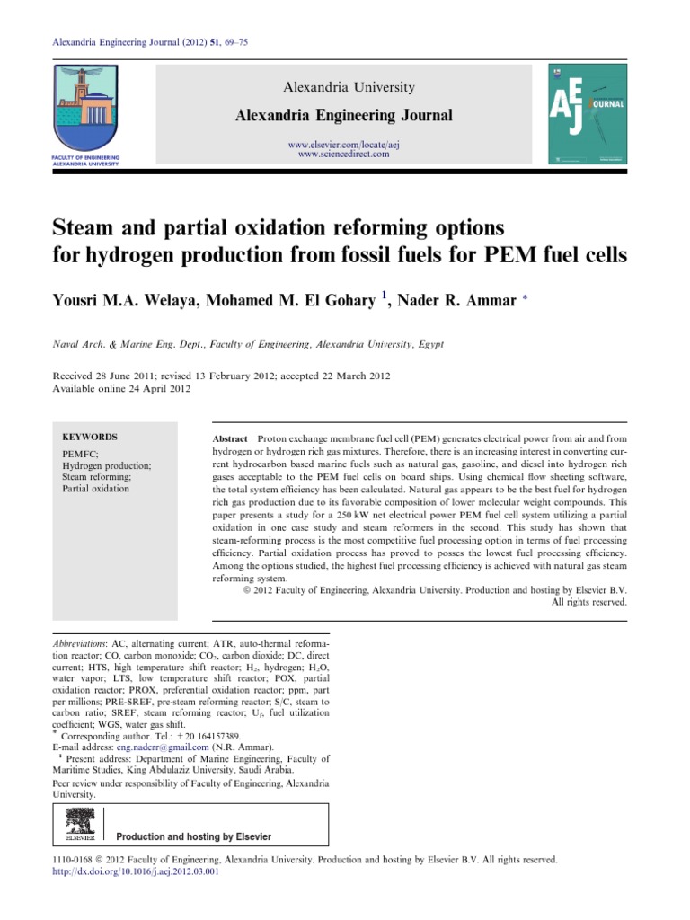 Steam and Partial Oxidation Reforming Options For Hydrogen Production ...