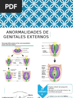 Clasificación de Fimosis Kayaba | PDF | Mamíferos machos | Pene