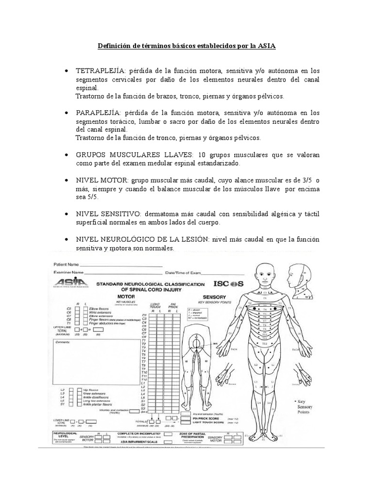 Escala de ASIA | PDF | Lesión de la médula espinal | Médula espinal
