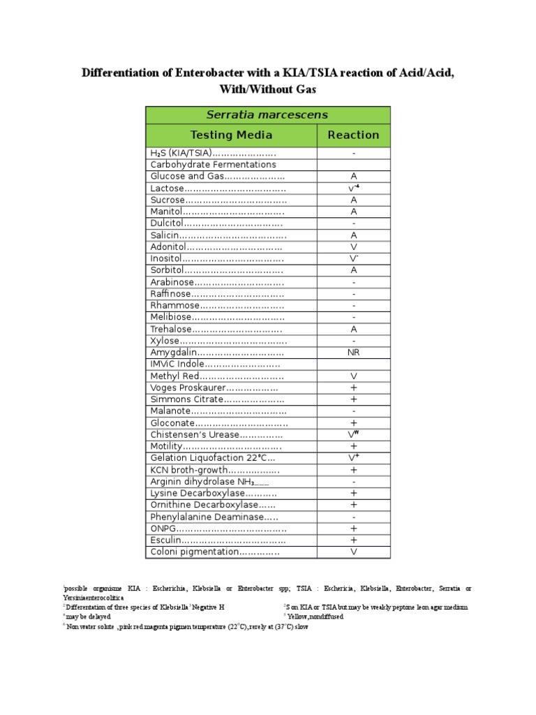 Tabel Dijah | PDF | Nature