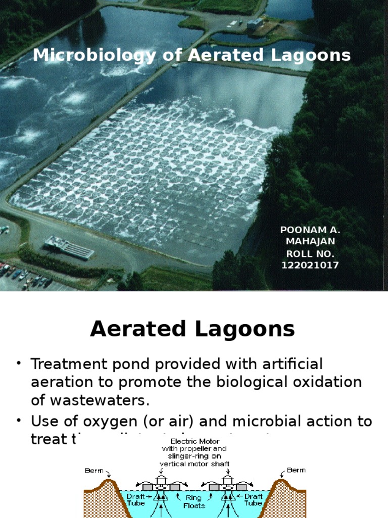 Microbiological Process in Aerated Lagoons | Download Free PDF | Sewage ...