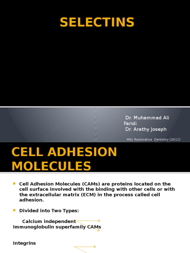 SELECTINS | PDF | Macromolecules | Proteins