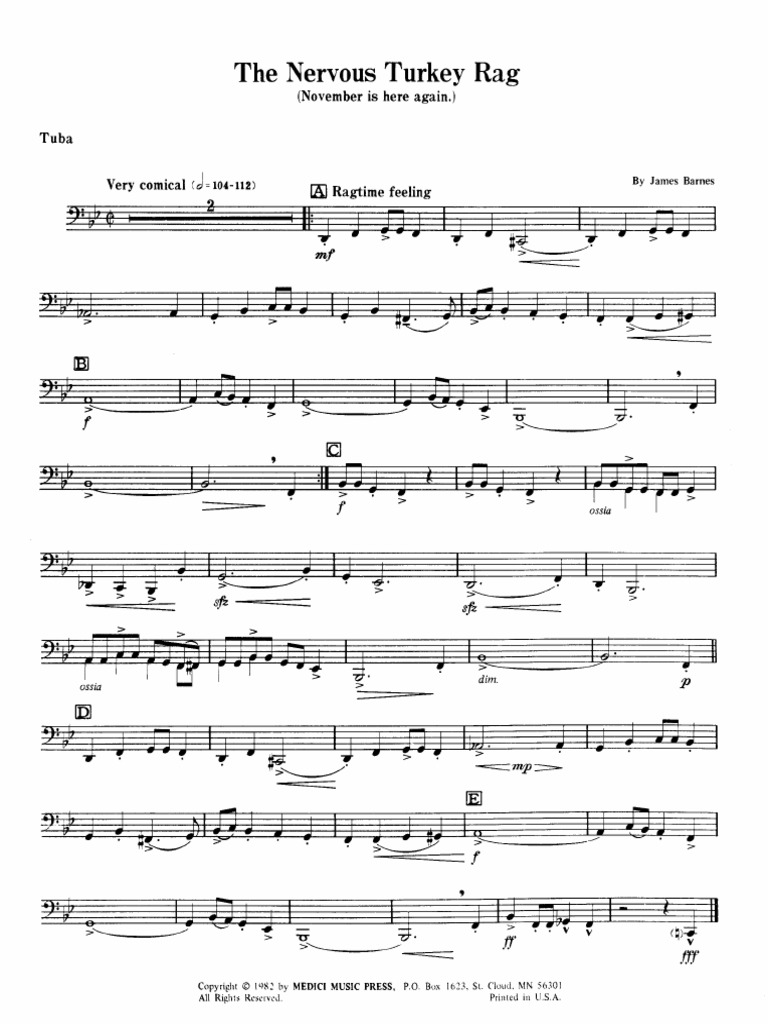 Nervous Turkey Rag | PDF