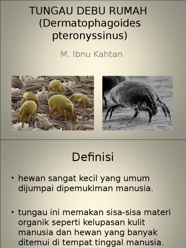 Mengatasi Tungau Debu Rumah dan Alergi | PDF