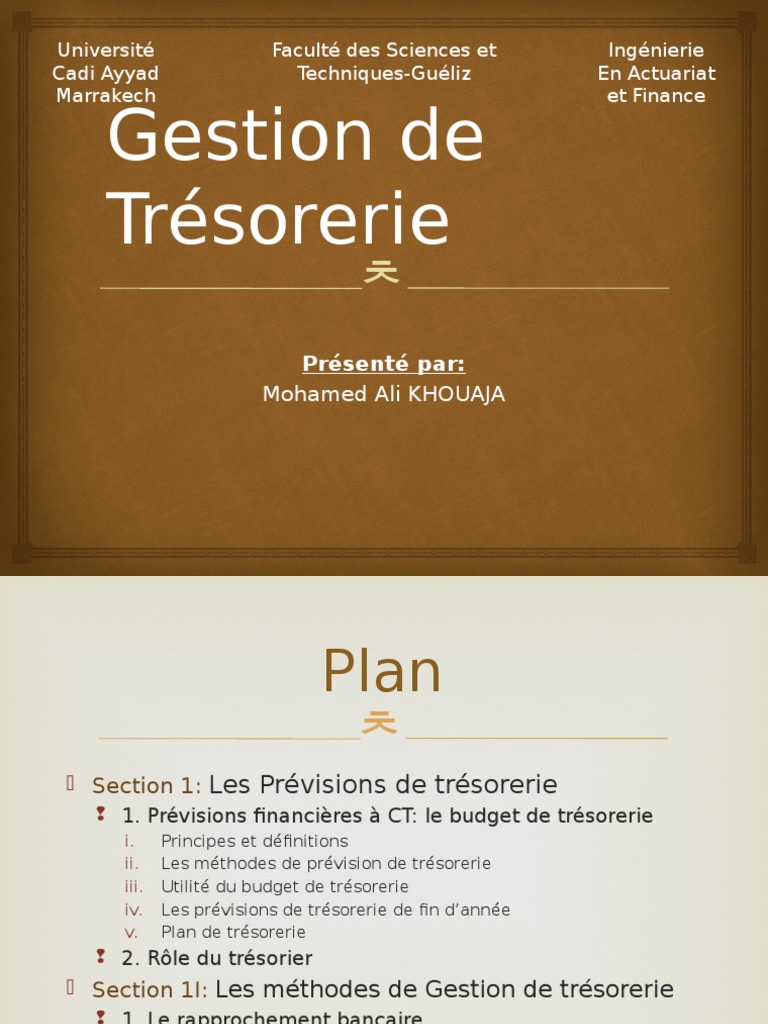 Gestion de Trésorerie | PDF | Trésor | Banques