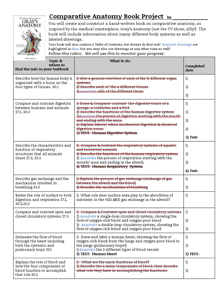Comparative Anatomy Book Project | PDF | Lung | Muscle