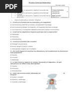 Prueba de Ciencias Naturales 2do Sistemas Del Cuerpo Humano | PDF ...
