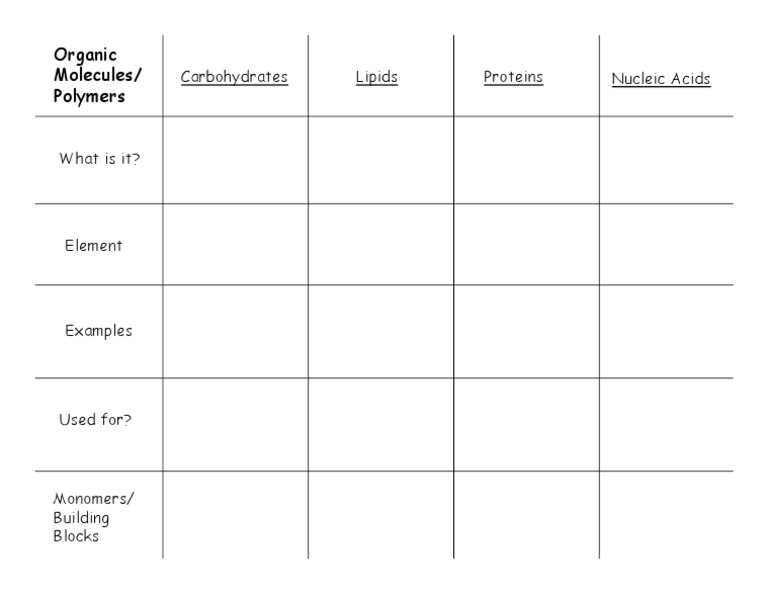 Organic Molecules/ Polymers: Carbohydrates Nucleic Acids Lipids ...