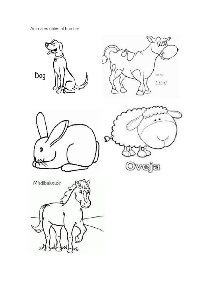 Animales Útiles Al Hombre | Guatemala