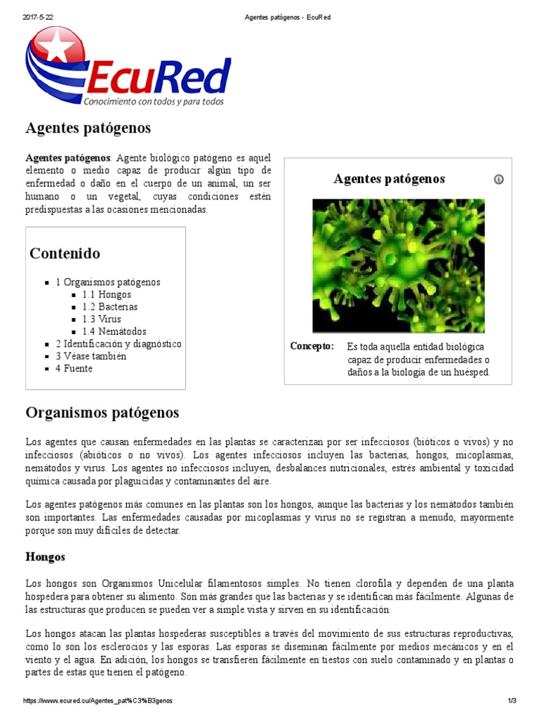 Agentes Patógenos: Tipos y Diagnóstico | PDF | Virus | Las bacterias