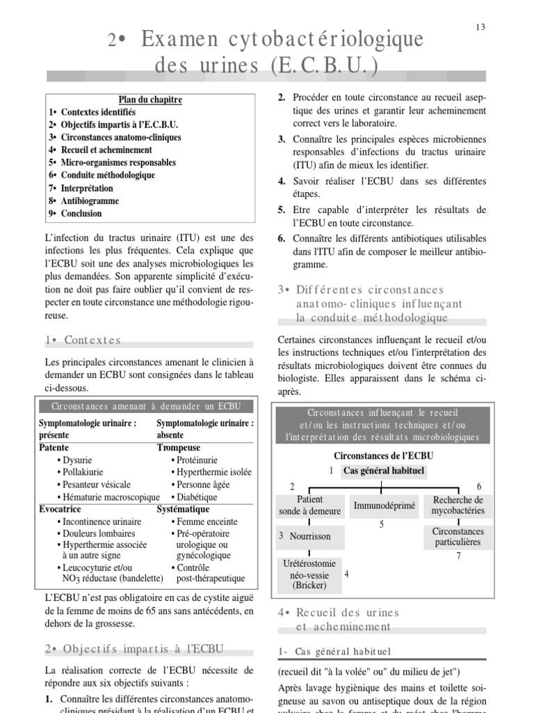 02-ECBU | Urine | Urologie