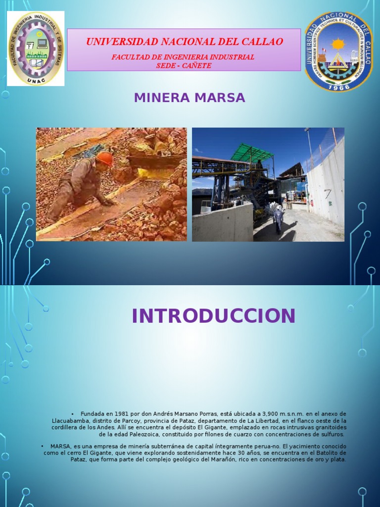 Minera Marsa | PDF | Oro | Minería