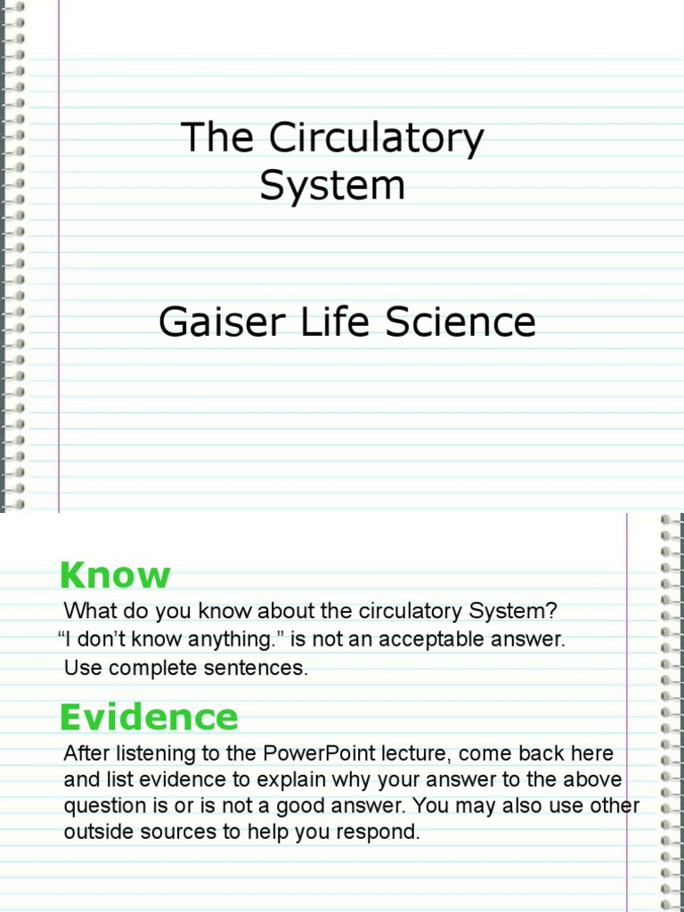 Seventh Grade Circulatory System | PDF | Heart | Circulatory System