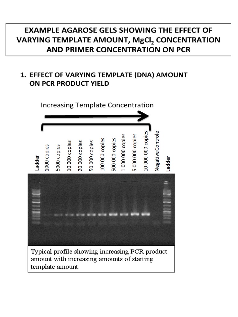 MB2 EXAMPLE Data Experiment2 | PDF