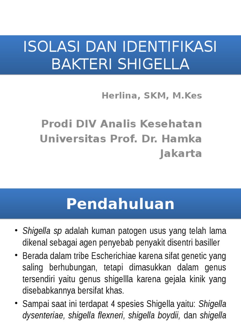 Isolasi Dan Identifikasi Bakteri Shigella | PDF | Kesehatan Holistik ...