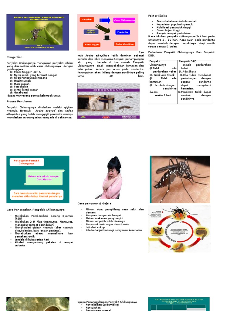Leaflet Chikungunya | PDF