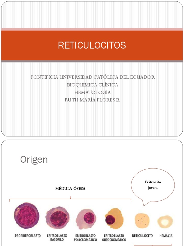 11.Reticulocitos | Hematología | Fluidos corporales