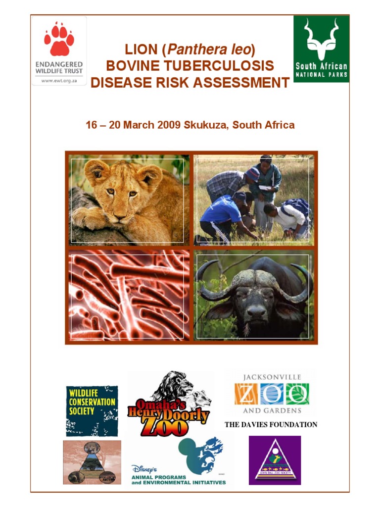 Lion TB Risk Report Final | PDF | Lion | Zoo