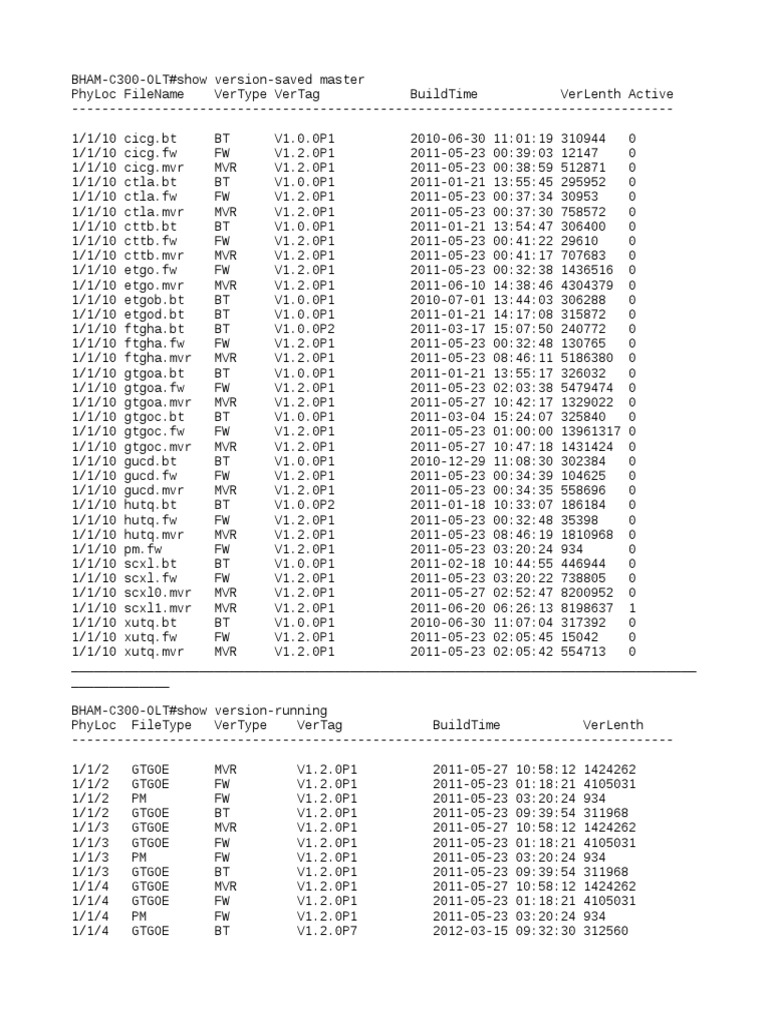 Olt c300 Software Version | PDF