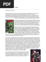 Living Sober | PDF | Alcoholics Anonymous | Alcoholism