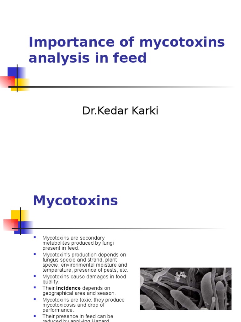 Importance of Mycotoxin's Analysis In | Mycotoxin | Fungus