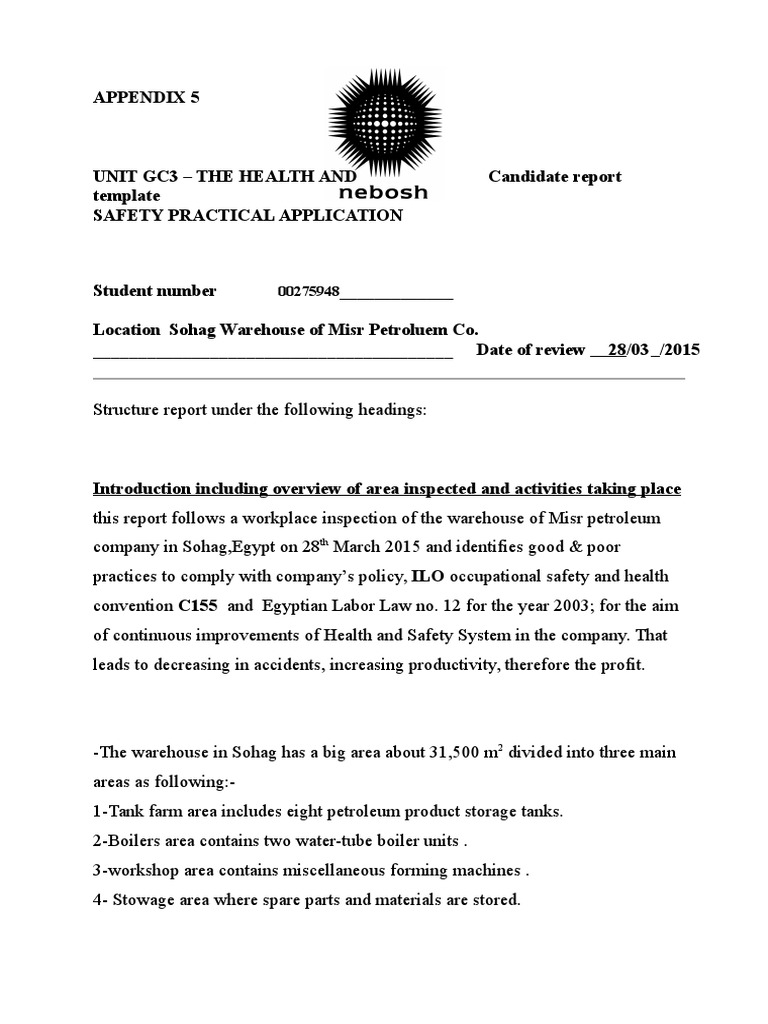 04 GC3 Candidate Report Template | PDF | Personal Protective Equipment ...