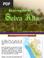 Selva Alta | PDF | Selva | Ciencias de la Tierra