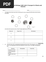Blood Type Review Worksheet | PDF | Blood Type | Body Fluids