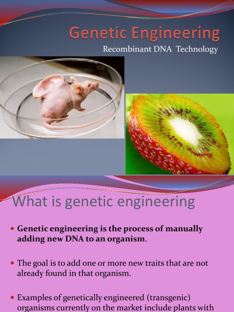 CAPE 1 Biology - Genetic Engineering | PDF | Plasmid | Restriction Enzyme