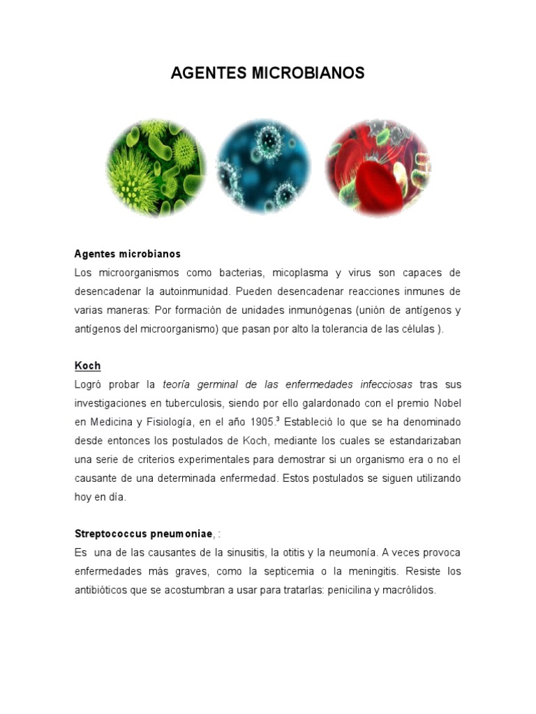 Agentes Microbianos | Bacterias | Antibióticos