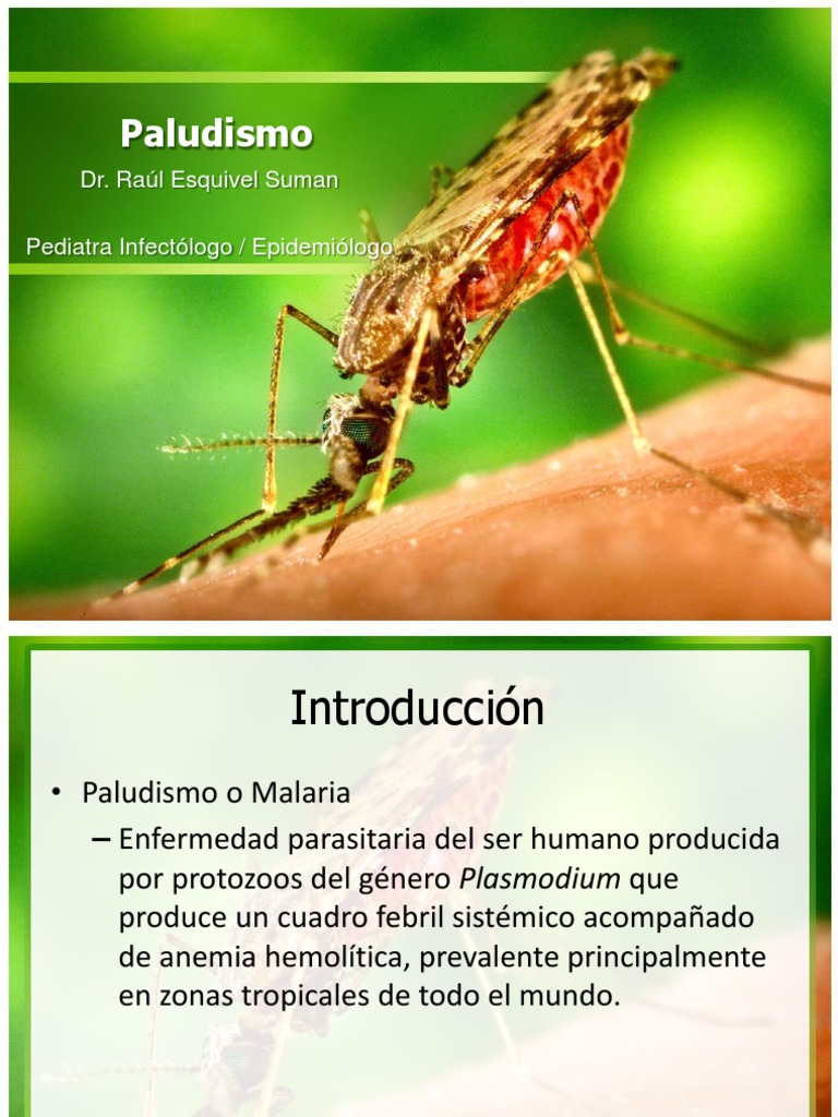Paludismo | PDF | Malaria | Plasmodium Falciparum