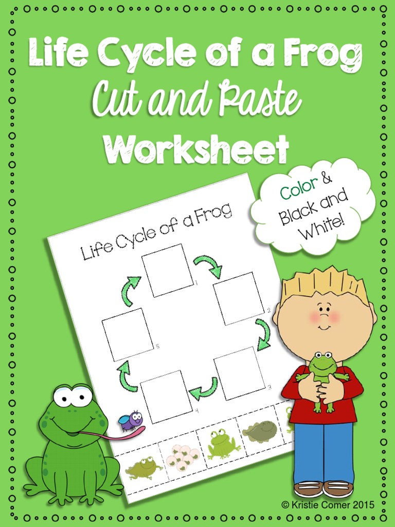 Cut and Paste: Life Cycle of A Frog Worksheet | PDF