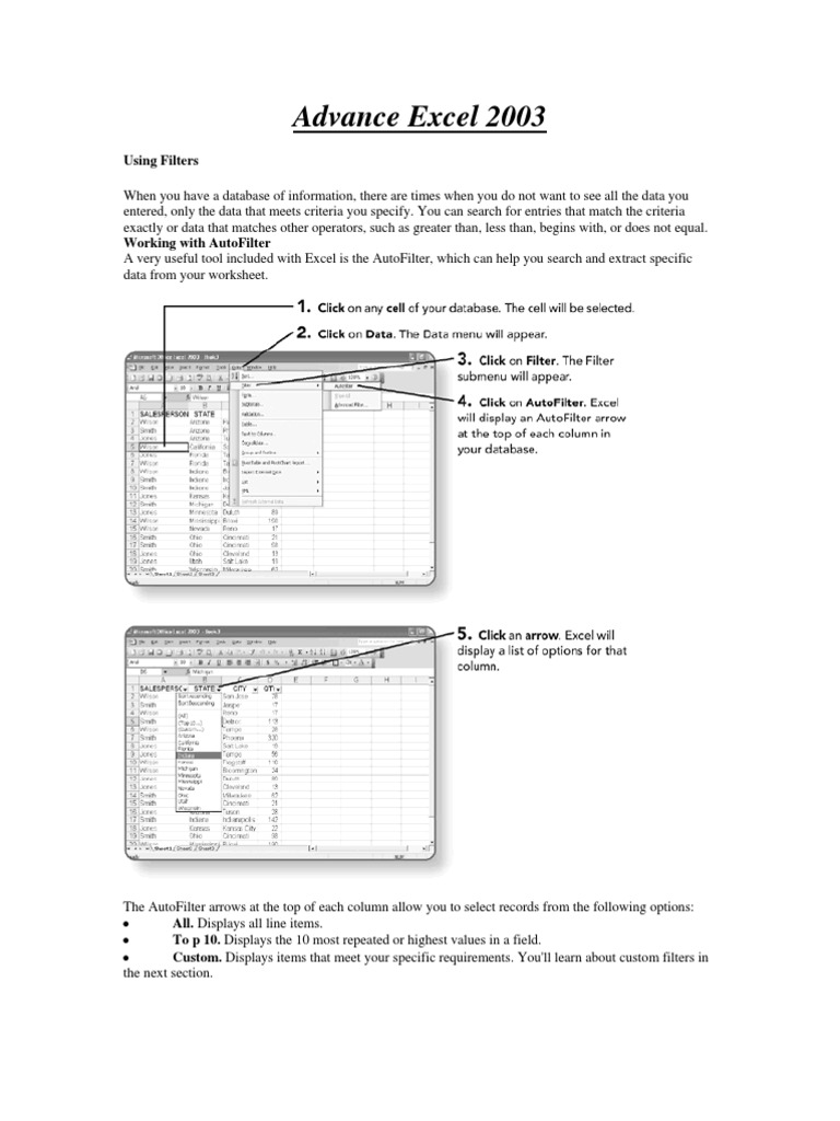 Advance Excel 2003 Updated PDF | PDF | Microsoft Excel | Chart