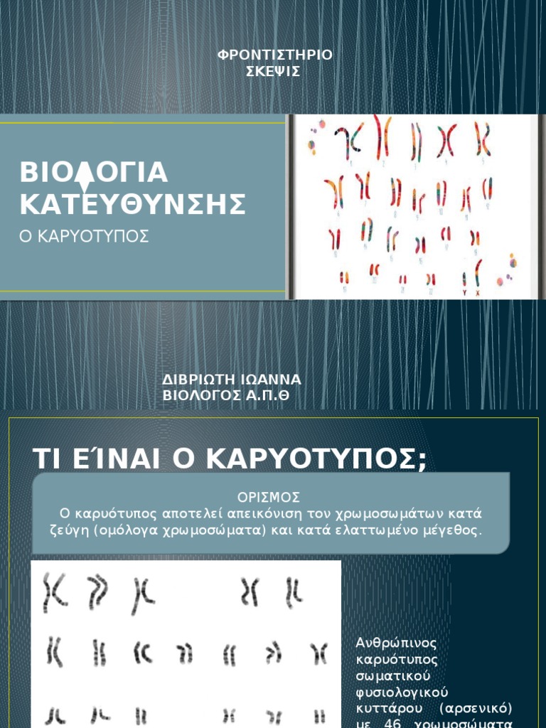 ΚΑΡΥΟΤΥΠΟΣ | PDF