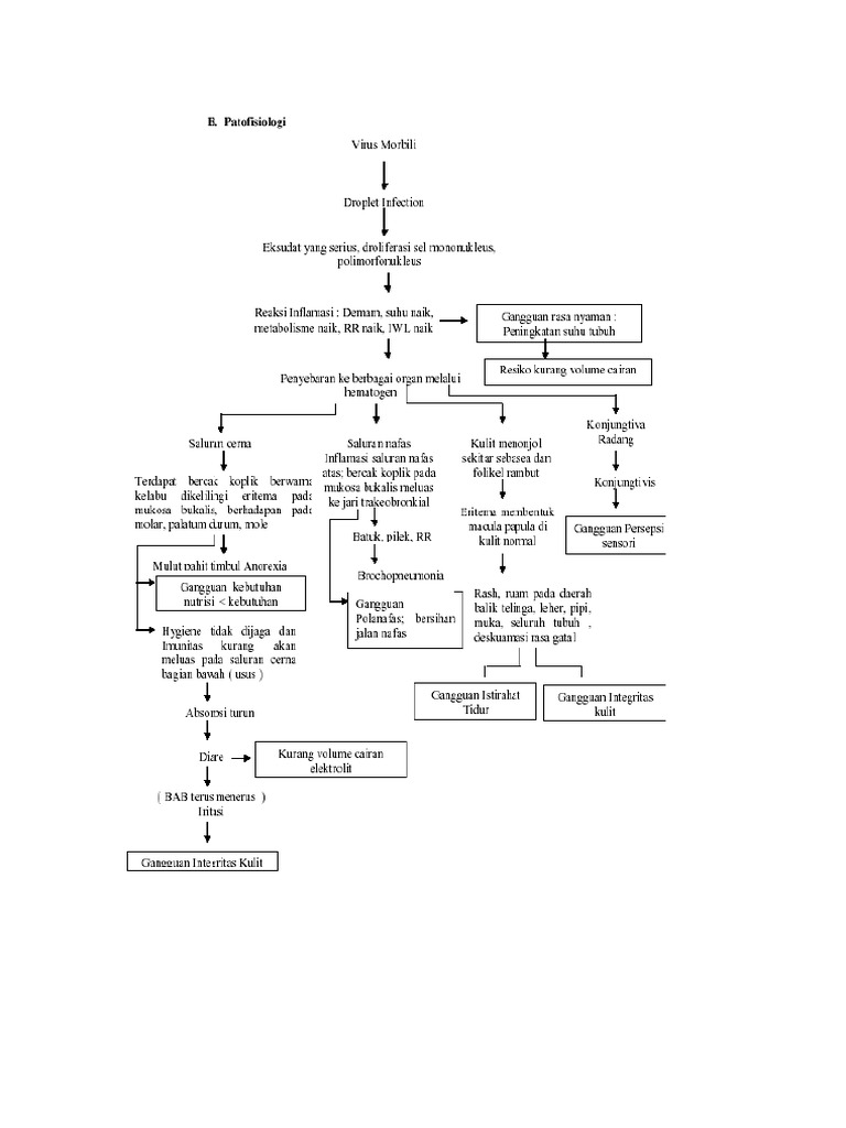 Patofisiologi Morbili | PDF