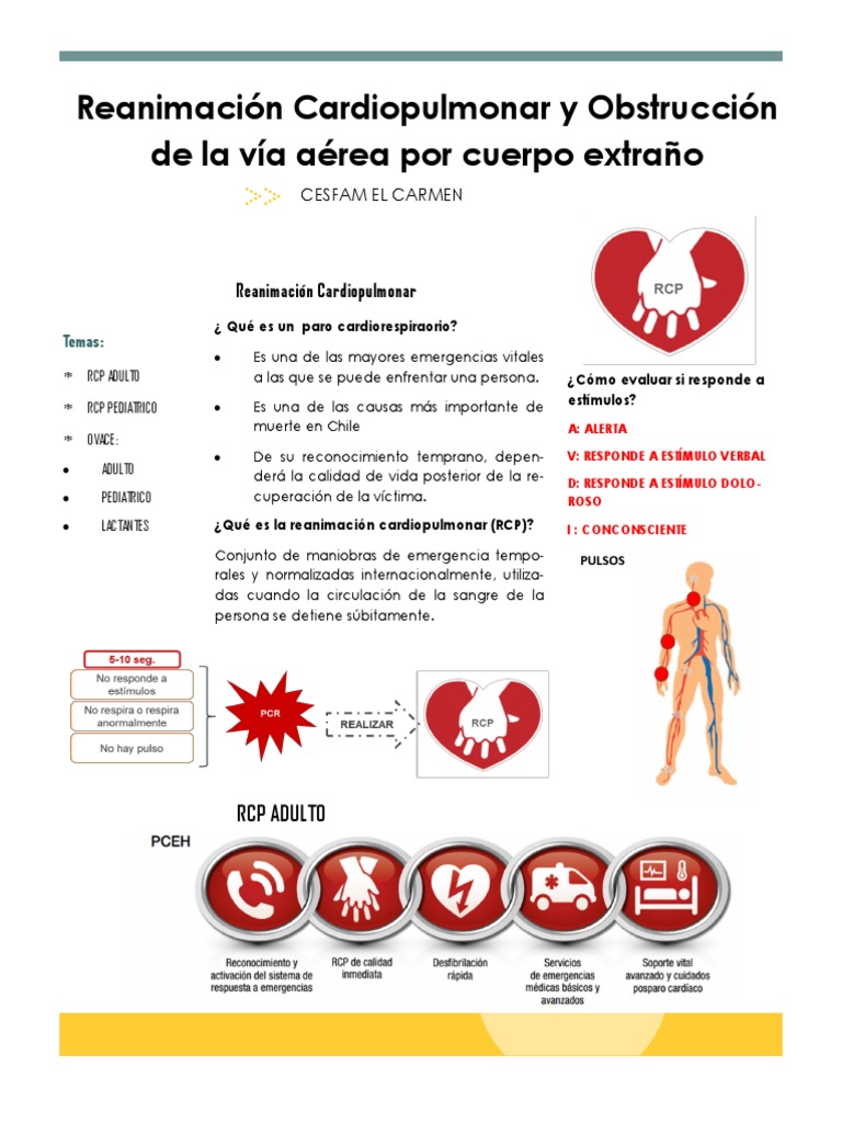 folleto RCP | Reanimación cardiopulmonar | Especialidades Medicas