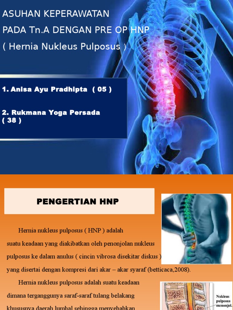 HNP | PDF | Kesehatan Holistik | Sains & Matematika