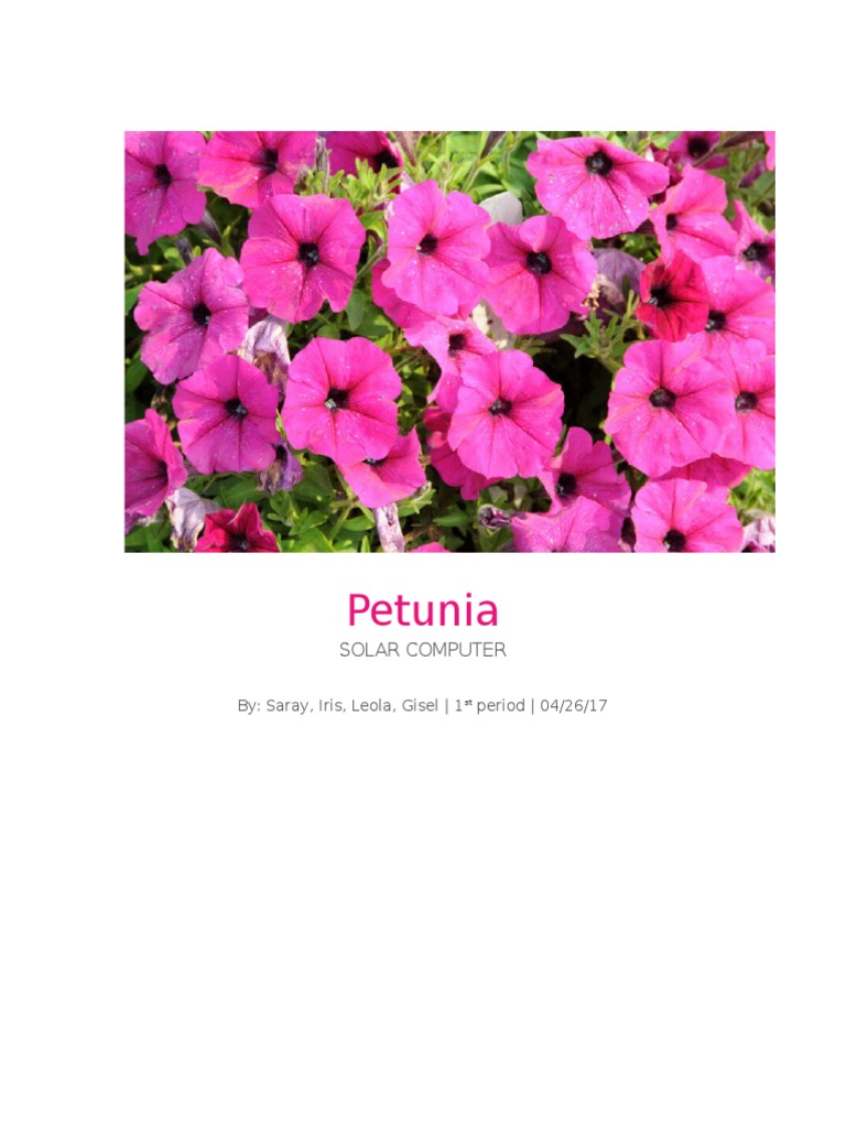 Petunia Cover Page | PDF