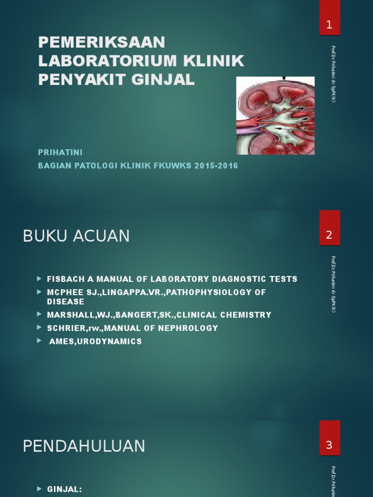 Pemeriksaan Fungsi Ginjal dan GFR | PDF | Renal Function | Kidney