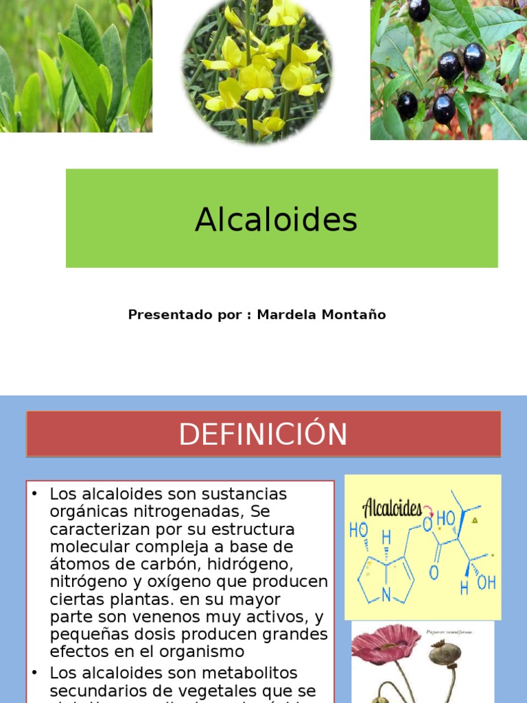 alcaloides 1 | Alcaloide | Cocaína | Prueba gratuita de 30 días | Scribd