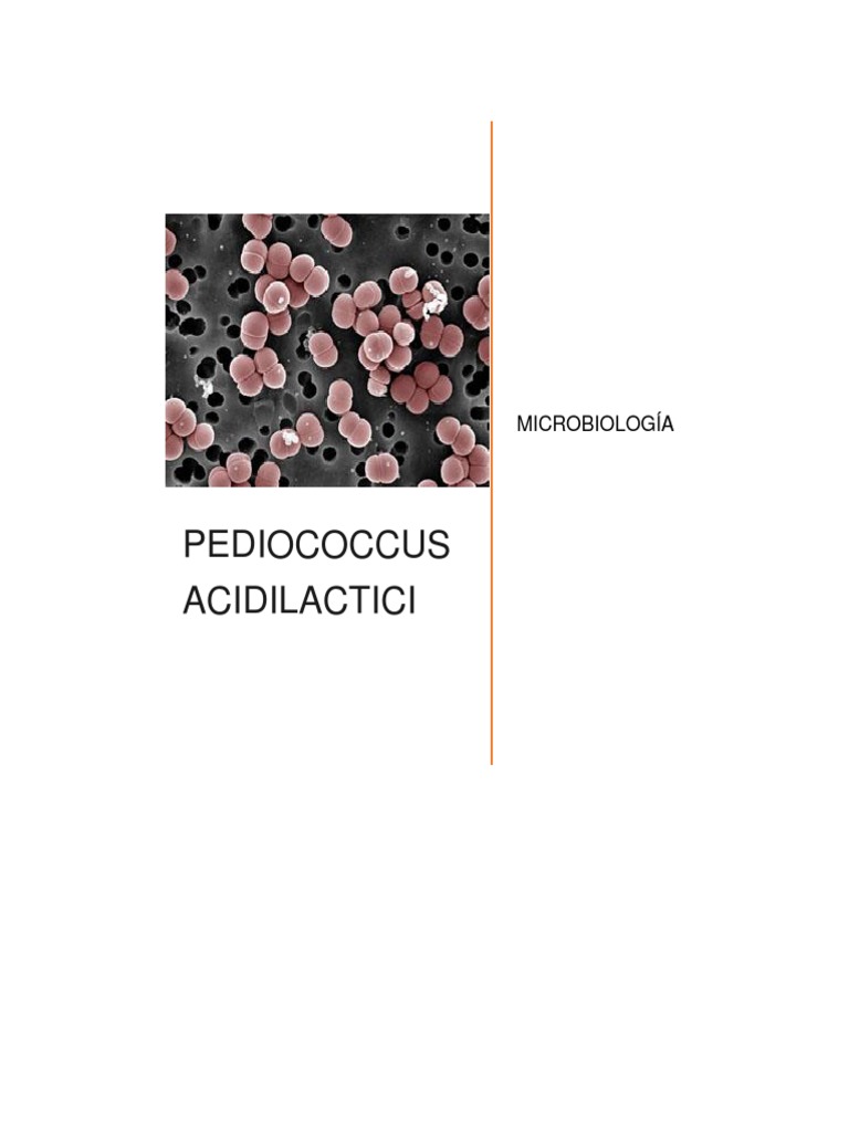 Pediococcus Acidilactici | PDF | Alimentos | Las bacterias