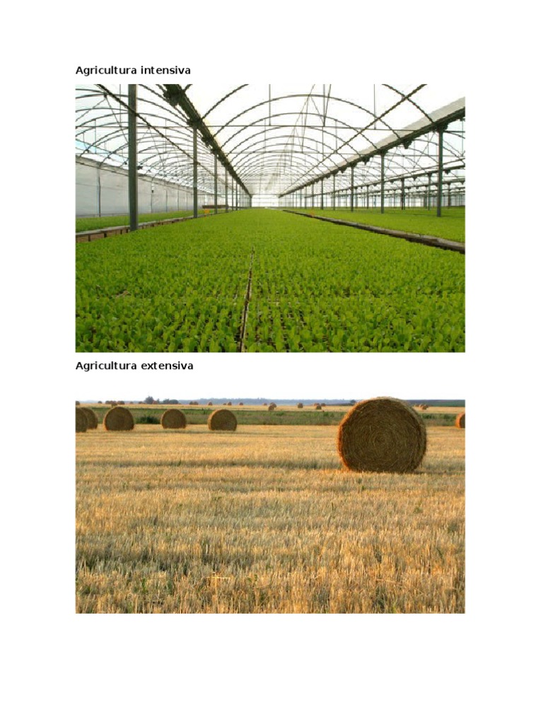 Agricultura Intensiva | PDF