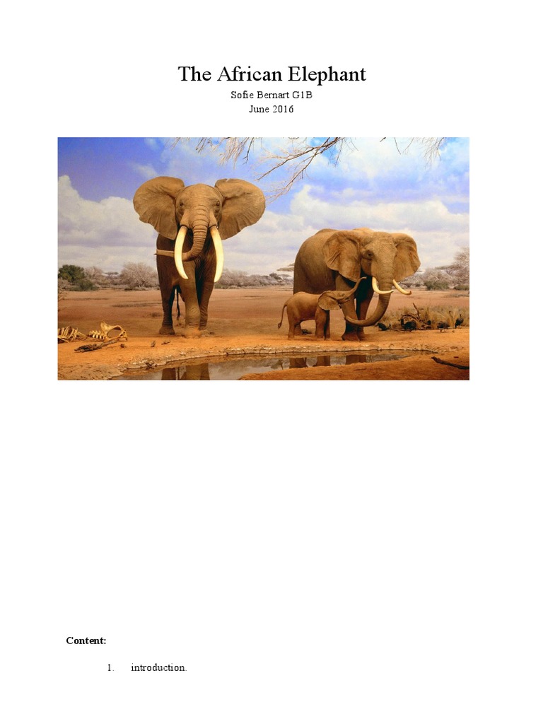 Theafricanelephant | PDF | Elephant | Mammals