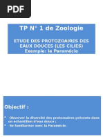 Compte Rendu TP1 | PDF | Cellule (Biologie) | Cytoplasme