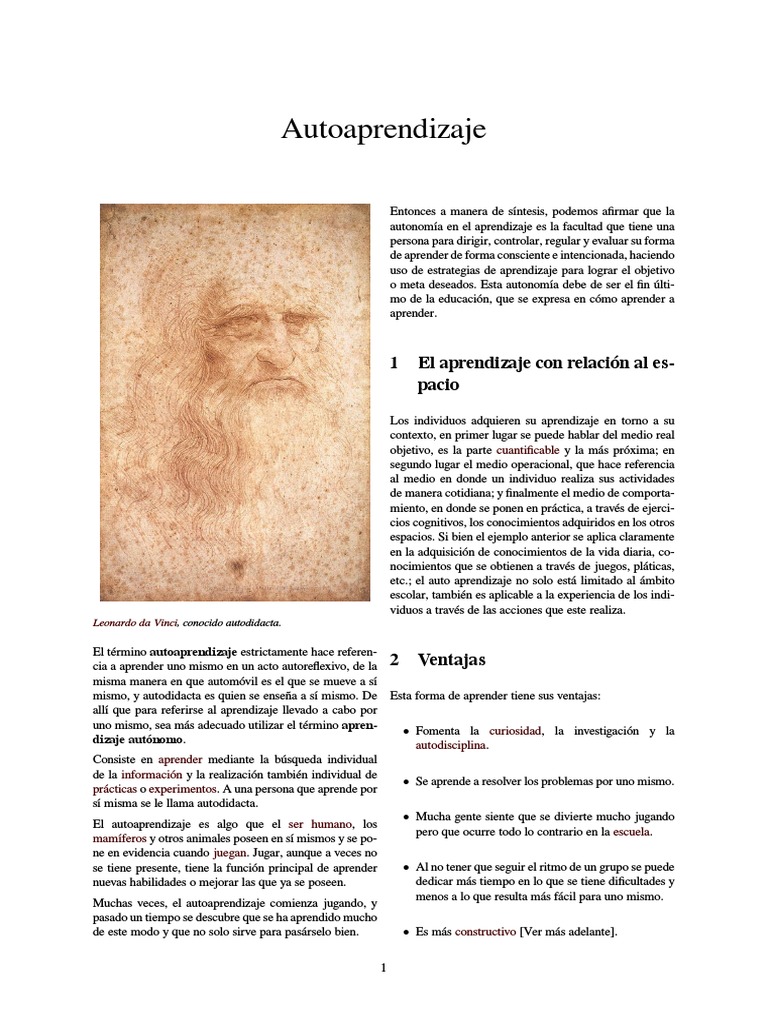 Autoaprendizaje PDF | PDF | Aprendizaje | Cognición