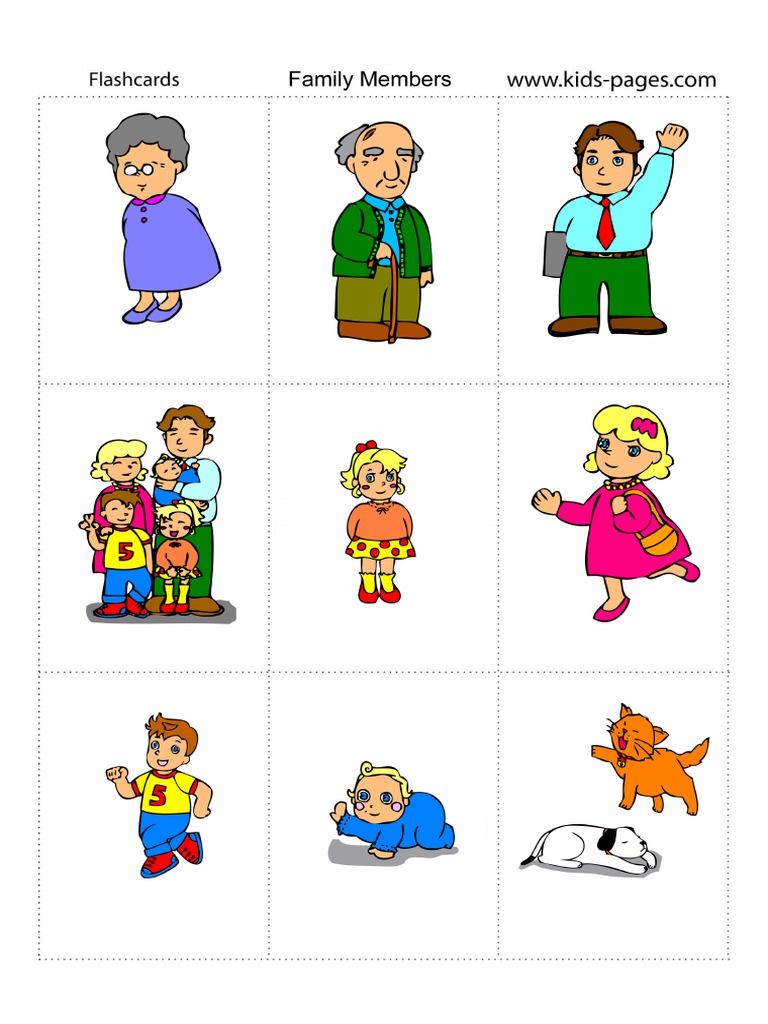 Family Members Flashcards