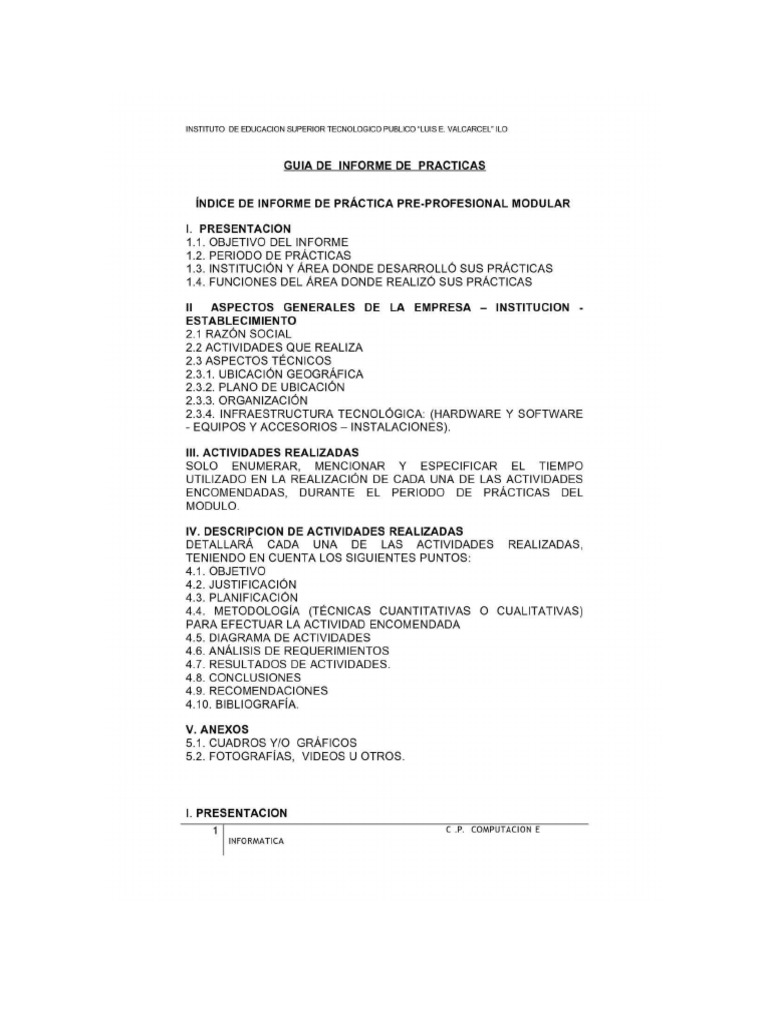 Modelo Informe Practicas Pre - Profesionales | PDF