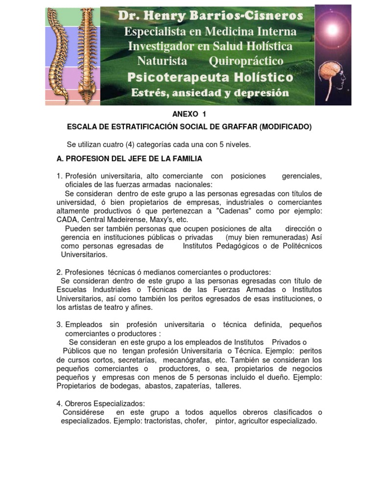 Escala de Estratificacion Social de Graffar Modificado | PDF ...