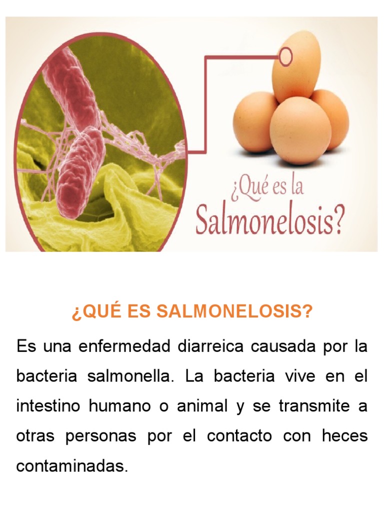 Qué Es Salmonelosis